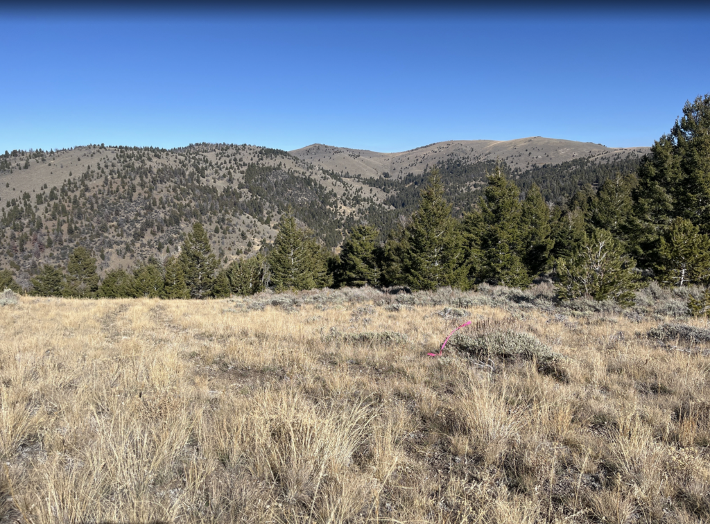 RUBY GRAPHITE PERMIT APPLICATIONS SUBMITTED TO BUREAU OF LAND ...
